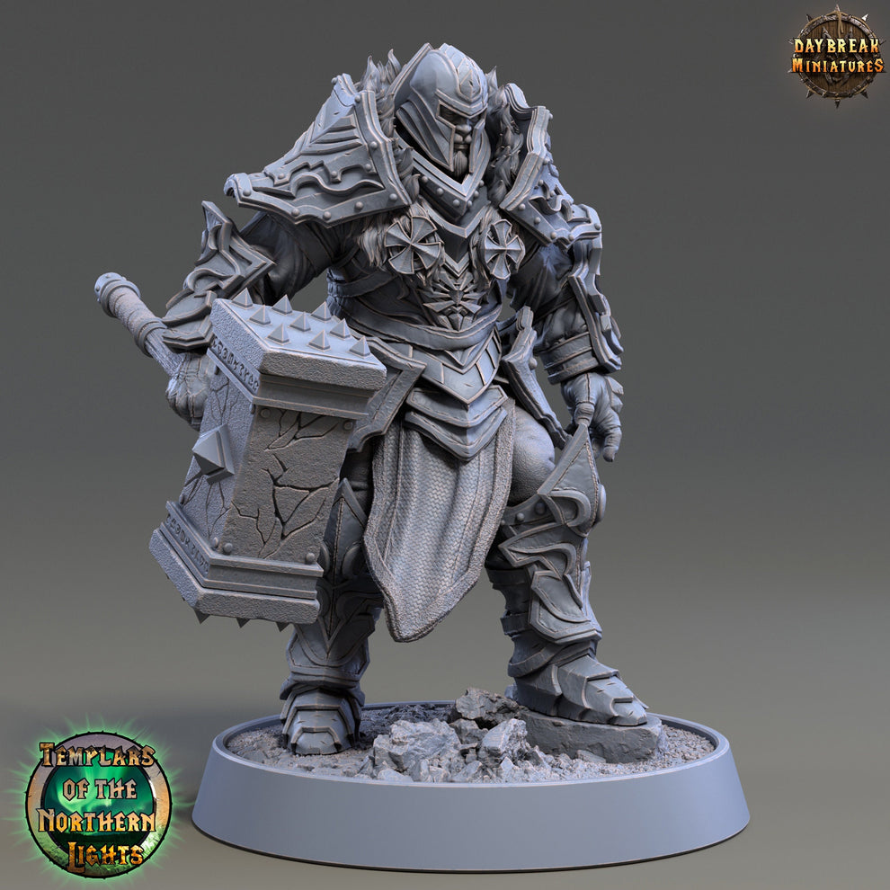 Templars of the Northern Lights 16 Piece Complete Set – Flukez
