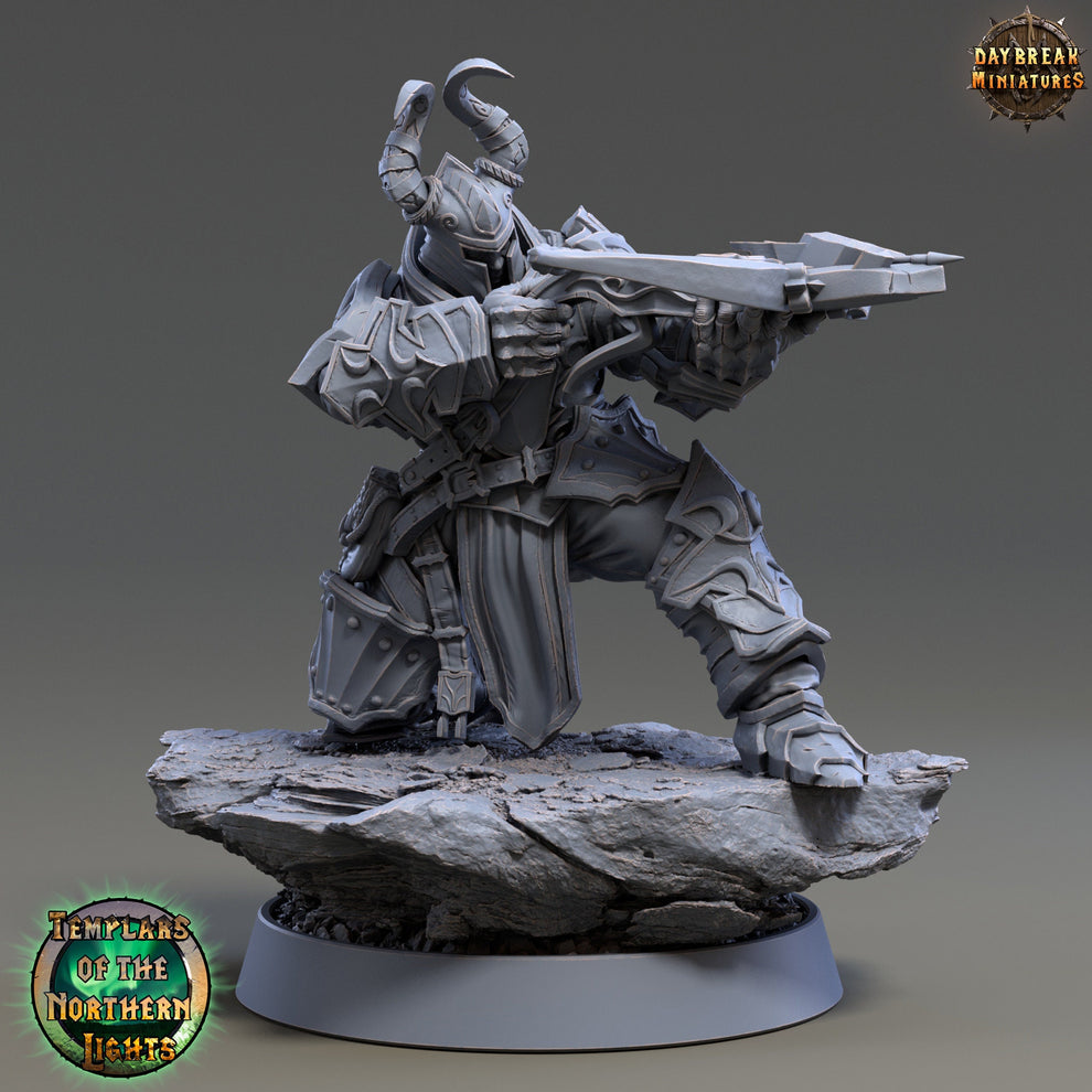 Templars of the Northern Lights 16 Piece Complete Set – Flukez